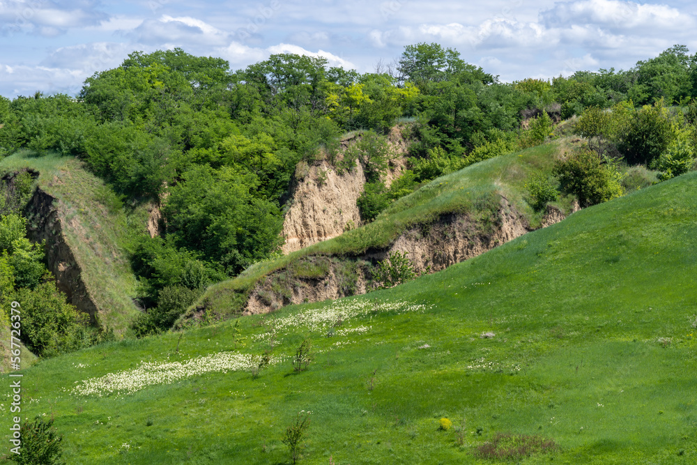 Ravine covered with greenery. Landscape valley with geological faults ...