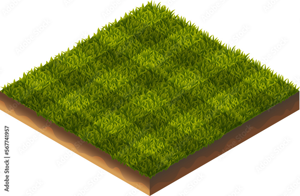 Isometric Illustration Of Soccer Field Green Grass For Web, Print ...