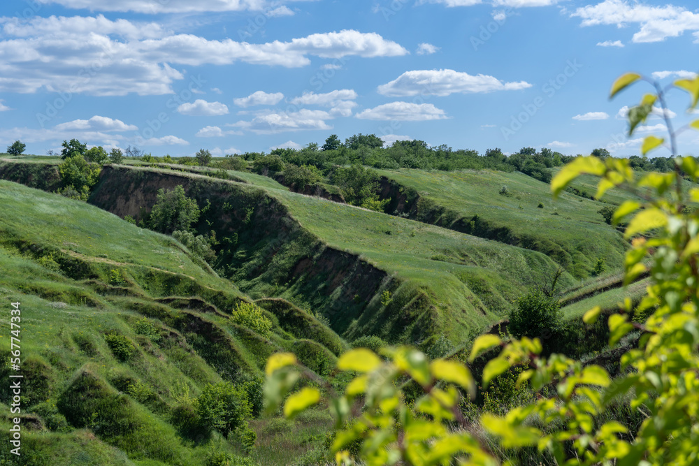 View ravine covered with greenery. Landscape valley with geological ...