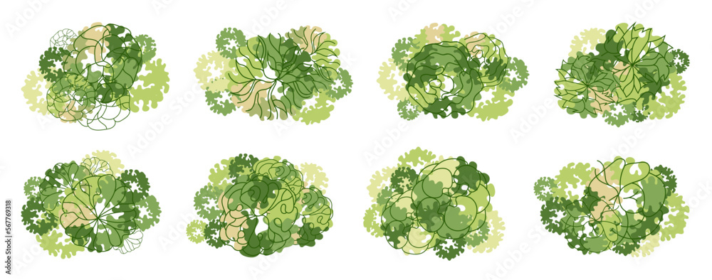 Tree for architectural floor plans. Entourage design. Various trees ...