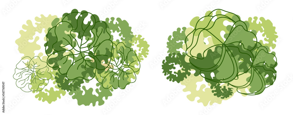 Tree for architectural floor plans. Entourage design. Various trees ...