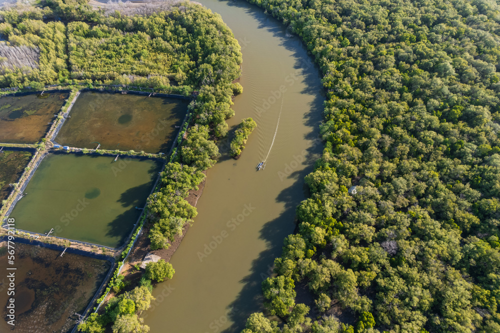 Aerial view of a boat sailing on a muddy river in a mangrove forest ...