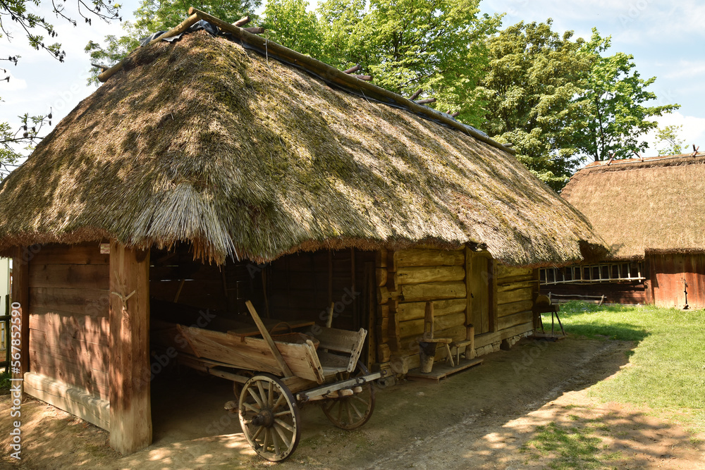 chata ludowa, chata rustykalna, chata pod strzechą, kwitnąca kalina ...