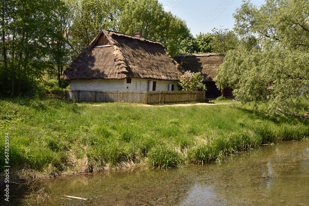 chata ludowa, chata rustykalna, chata pod strzechą, kwitnąca kalina ...