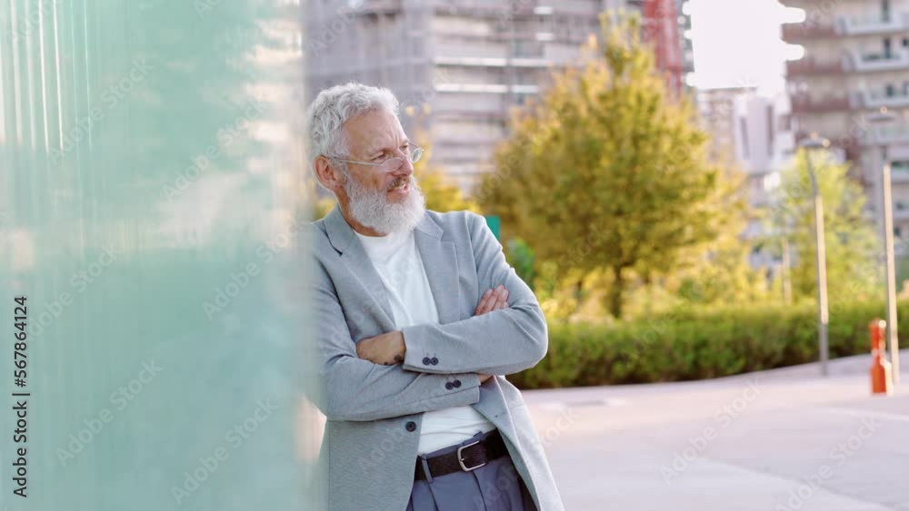 Smiling happy mature older successful gray haired business man leader ...
