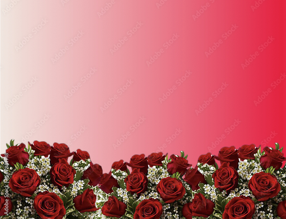 Bunches of red roses white background shaded in red . Luxury design for ...