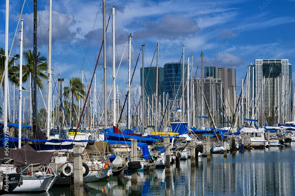 Foto de marina, sailboats, dock, ala wai yacht harbor, yacht, yachts ...