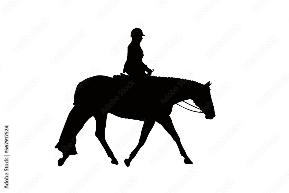 Hunter Under Saddle Horse Silhouette