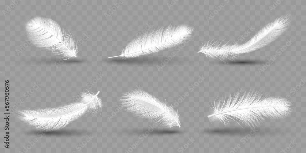 White falling angel or dove feathers. Smooth bird objects, swan Fluffy ...