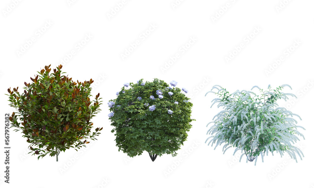 Red Robin Peony Virginia Sweetspire bush shrub set alpha channel no ...