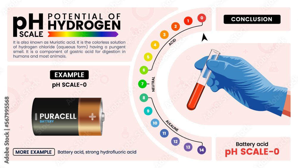 pH scale zero properties, calculation and examples - Vector ...
