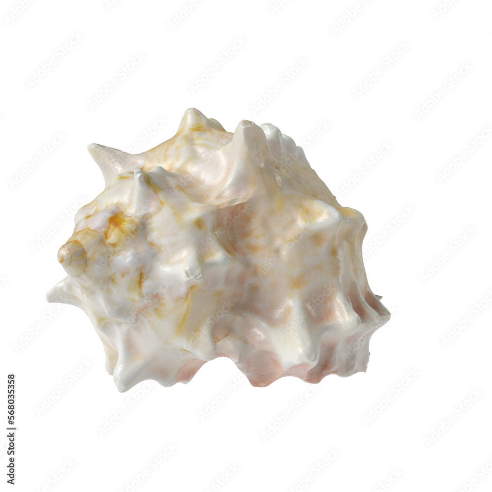Sea shell isolated transparent background 3d rendering Stock ...