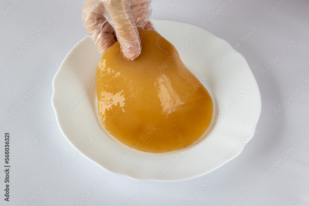Scoby, Hand holding tea mushroom for kombucha tea, Healthy fermented ...