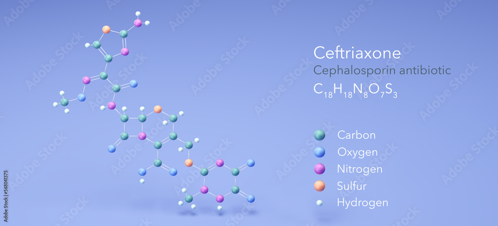 ceftriaxone molecule, molecular structures, Epicephin, 3d model ...