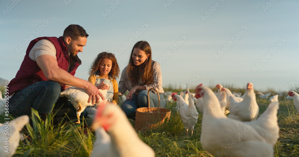 Chicken, farm and family love of happy mom, dad and child enjoy quality ...
