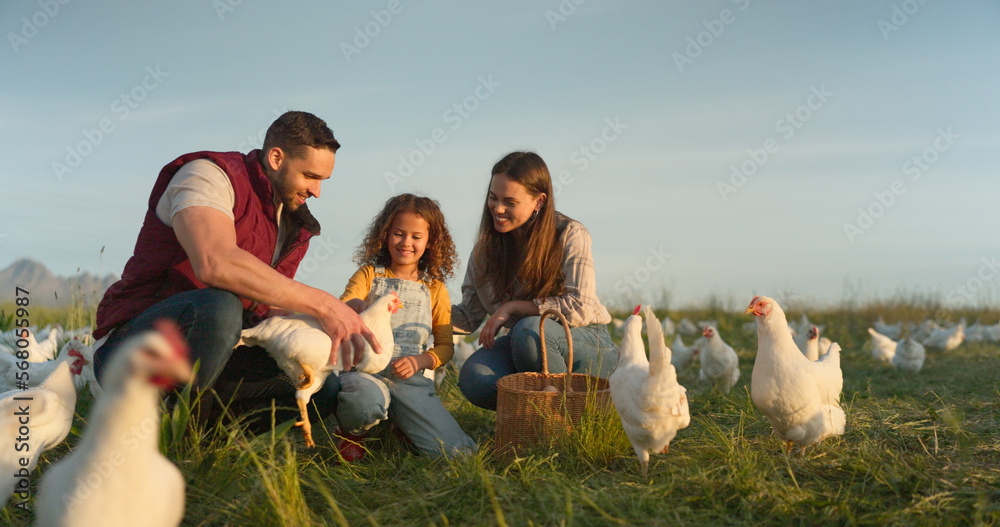 Fotografia do Stock: Chicken, farm and family love of happy mom, dad ...