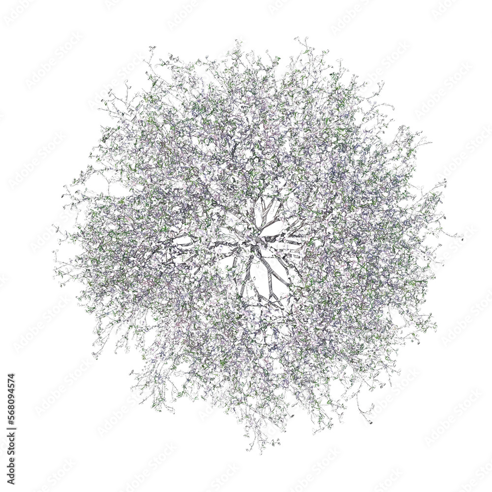 Blossoming cherry tree drawing isolated transparent background Stock ...