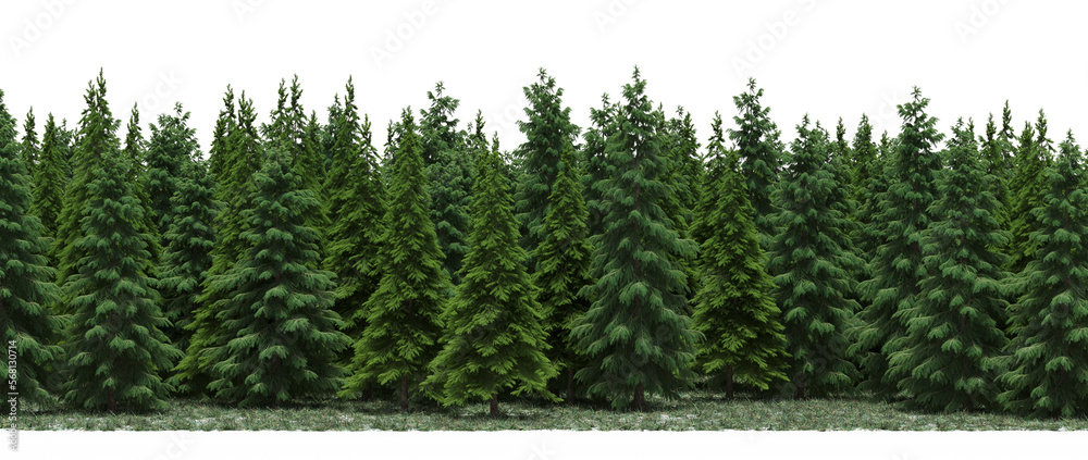 forest line with shadows under the trees, isolated on transparent ...