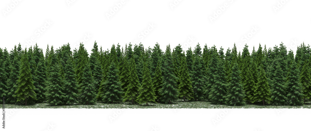 forest line with shadows under the trees, isolated on transparent ...