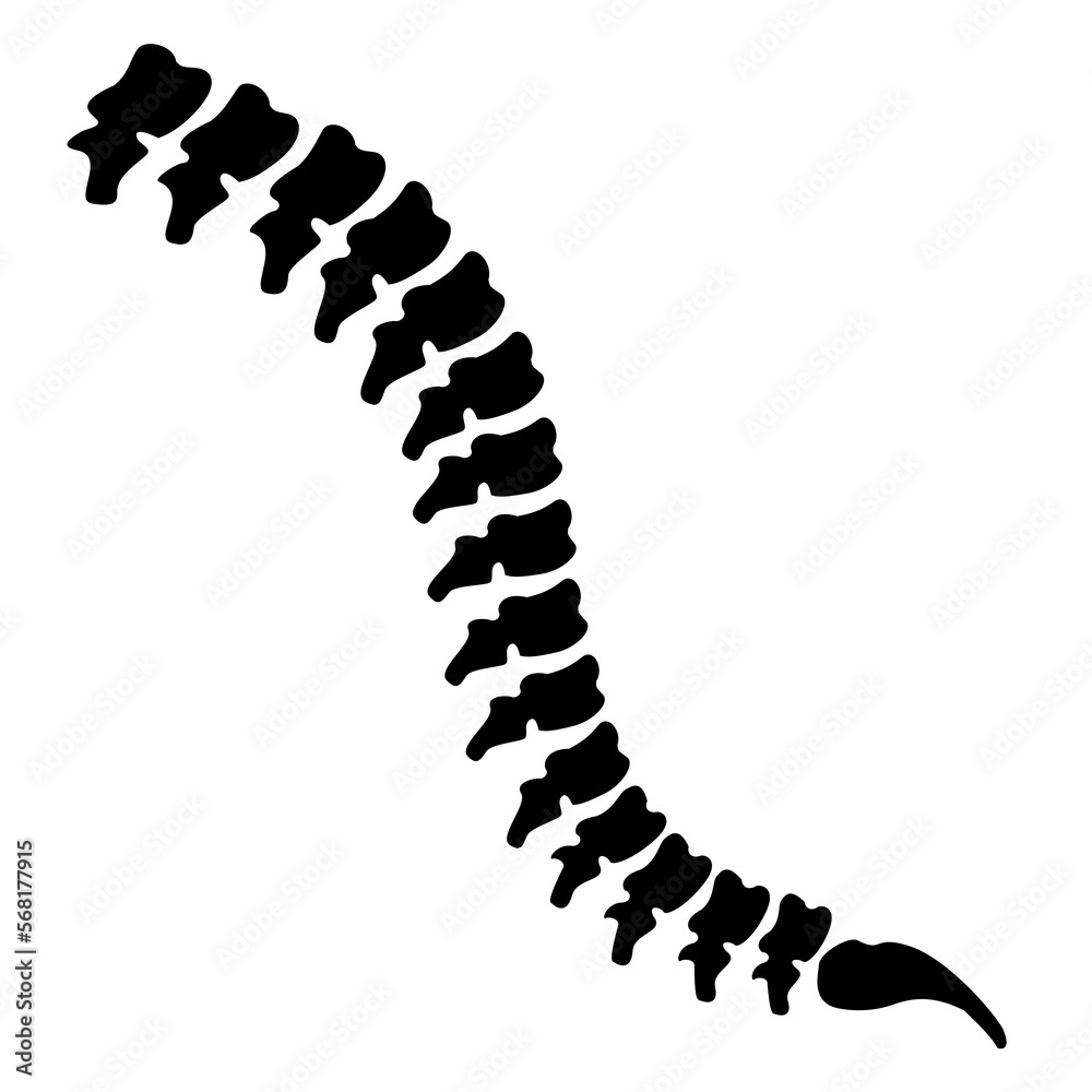 Black vector spine vertebrae Stock Illustration | Adobe Stock
