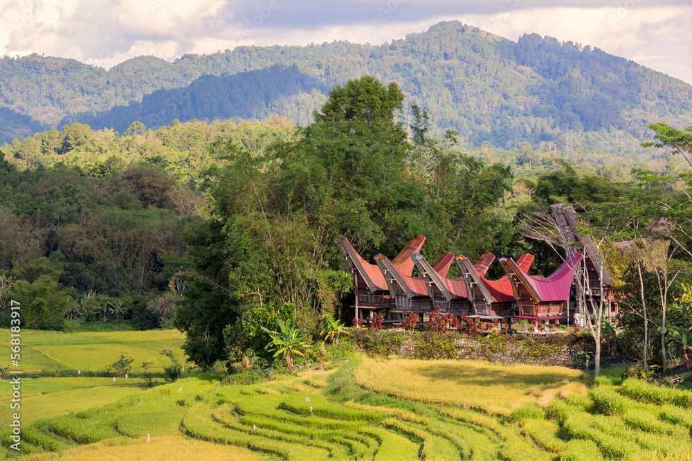 Tongkonan is a traditional house of the Toraja tribe which is usually ...