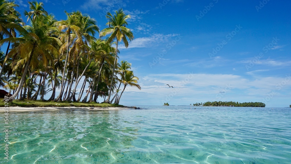 Coast of the Pelicano Island, one of the most famous islands in the San ...