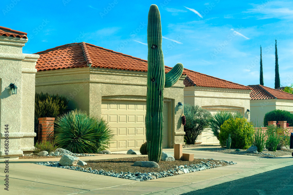 Row of modern adobe houses in desert suburban community with rock ...