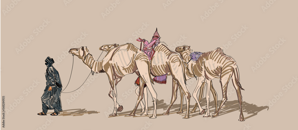 Camel in desert drawing vector illustration Art Stock Vector | Adobe Stock