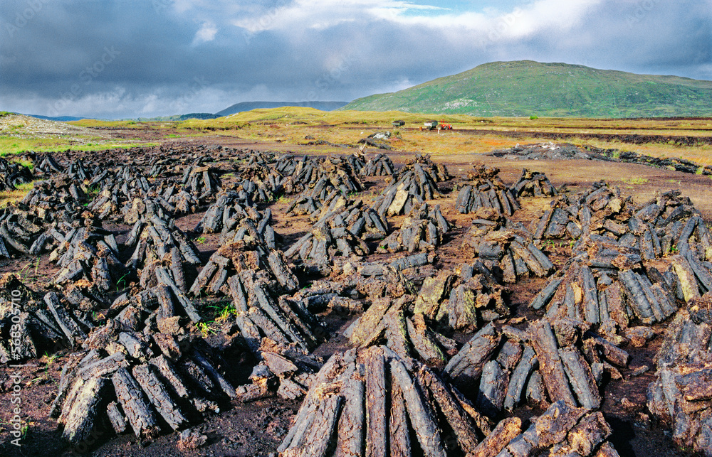 Peat turf cut and stacked to dry for house fire fuel in the Connemara ...