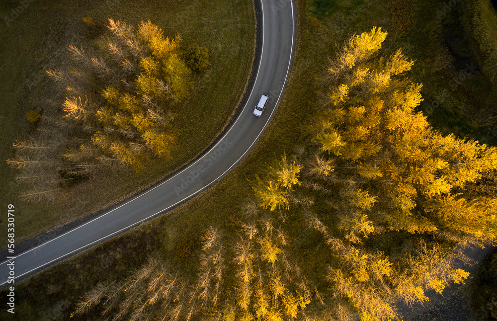 Car driving on road between fading trees Stock Photo | Adobe Stock