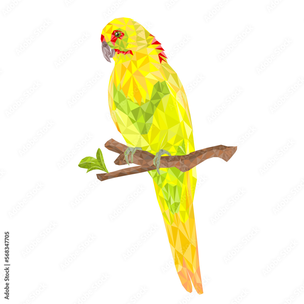 Parrot in Yellow bird Indian Ringneck Parrot alexander polygons on ...