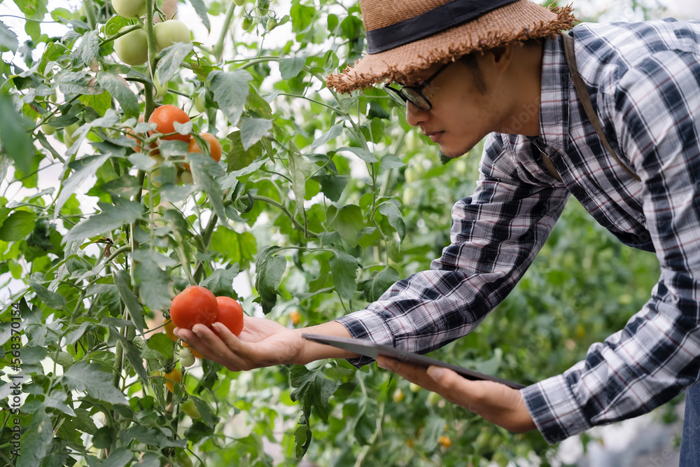 Agriculture uses production control tablets to monitor quality ...