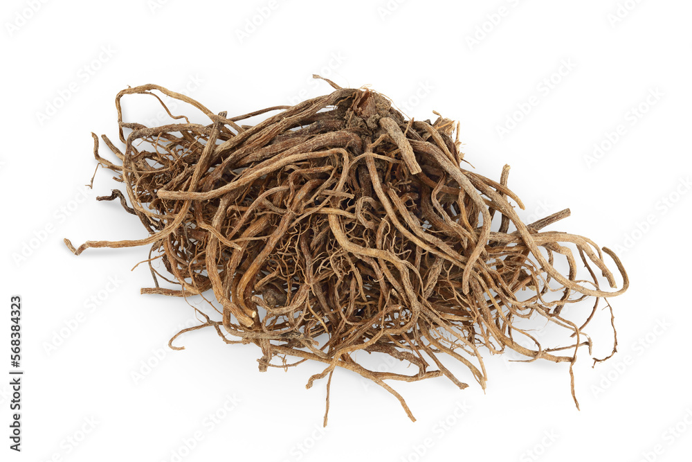 Dried Valerian root isolated on white background. Valeriana officinalis ...
