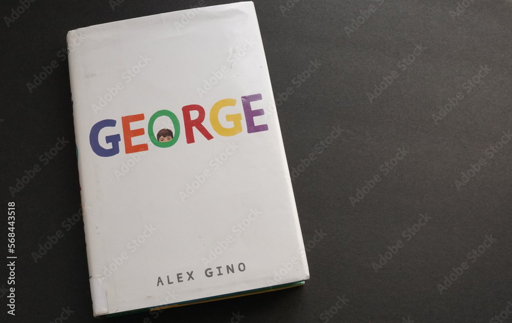 A copy of the book George by Alex Gino. The graphic novel has been ...