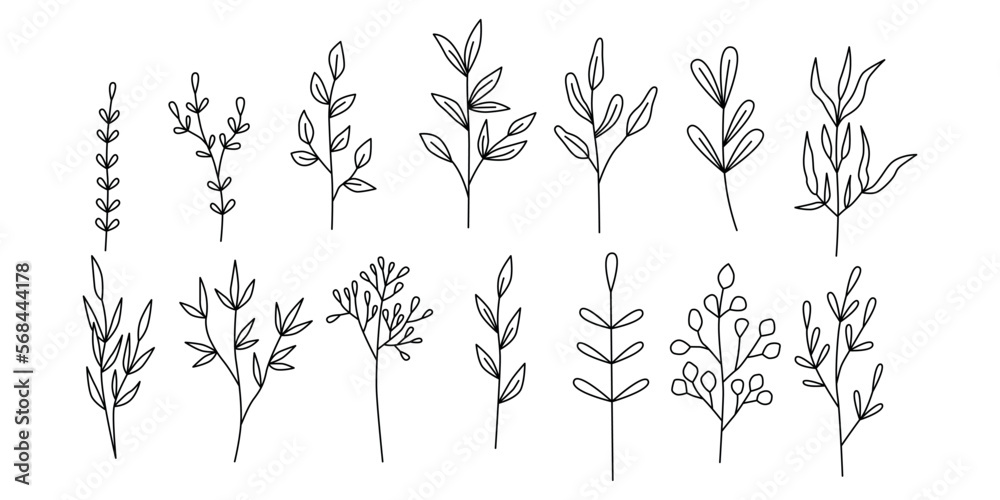 Set of vector linear flowers in graphics. Collection of vector ...