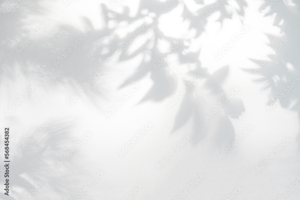 Shadow and sunshine of leaf reflection. Jungle leaves tree gray ...