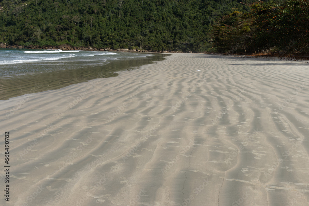 Desert tropical beach, near the forest in Dois Rios, Brazil. Amazing ...