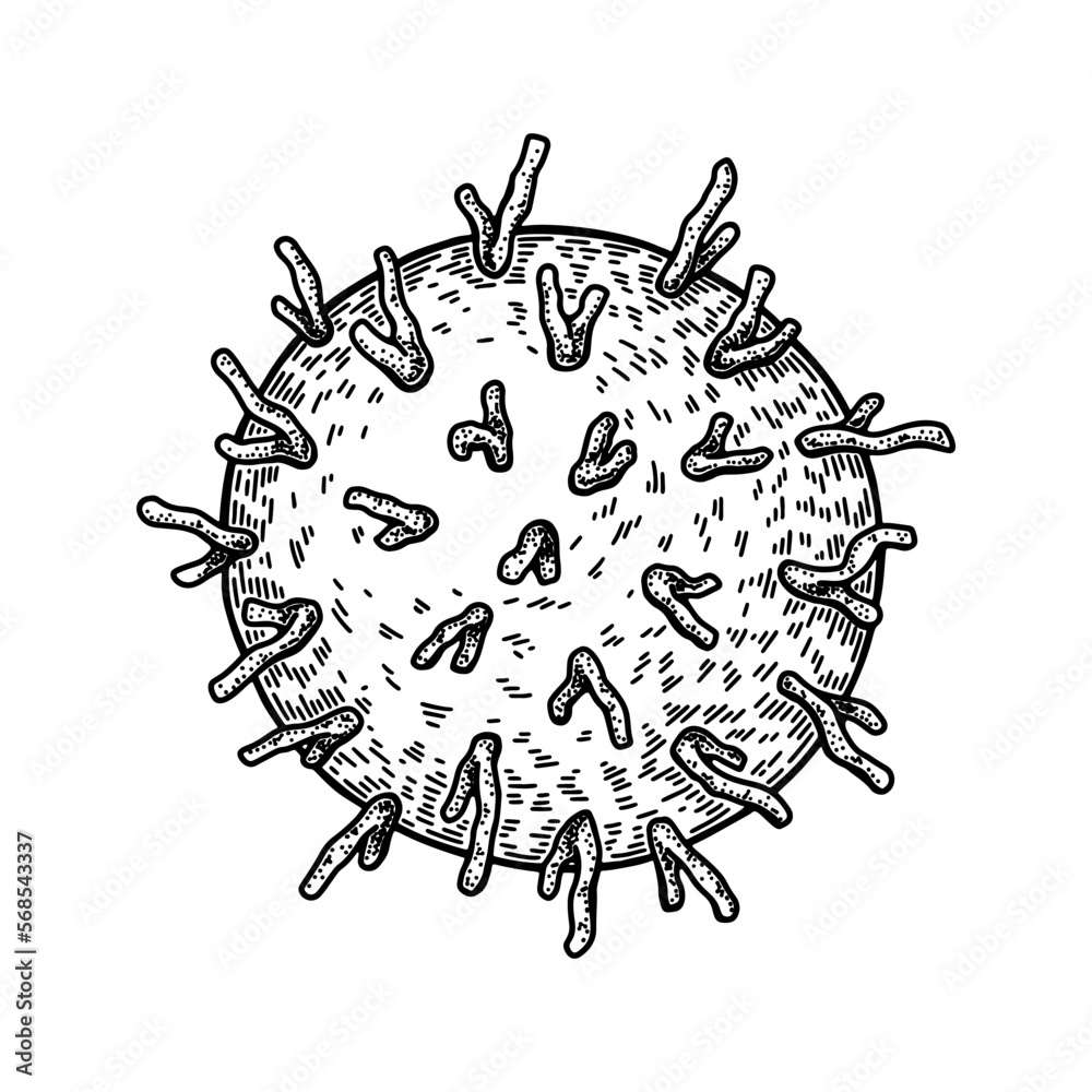 Hand drawn rhinovirus isolated on white background. Realistic detailed ...