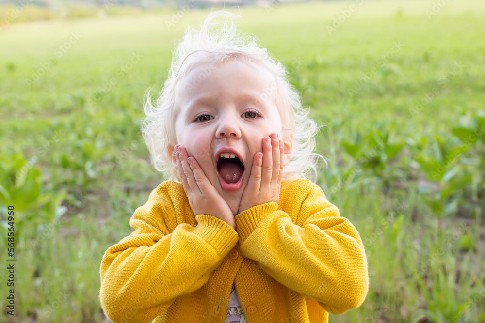 little girl is shocked. child reacts emotionally and clutches his ...