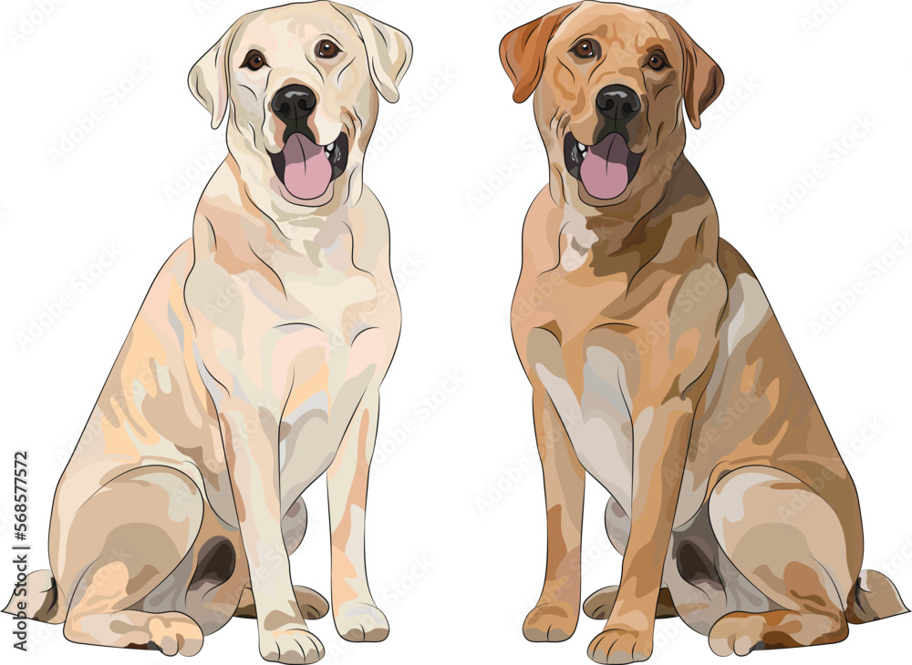 Labrador Retriever sitting dog. Cute Lab logo design, popular colors ...