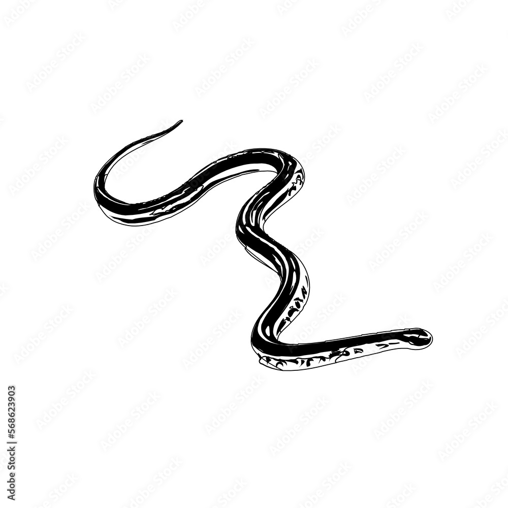 Black and white sketch of a snake with transparent background Stock ...