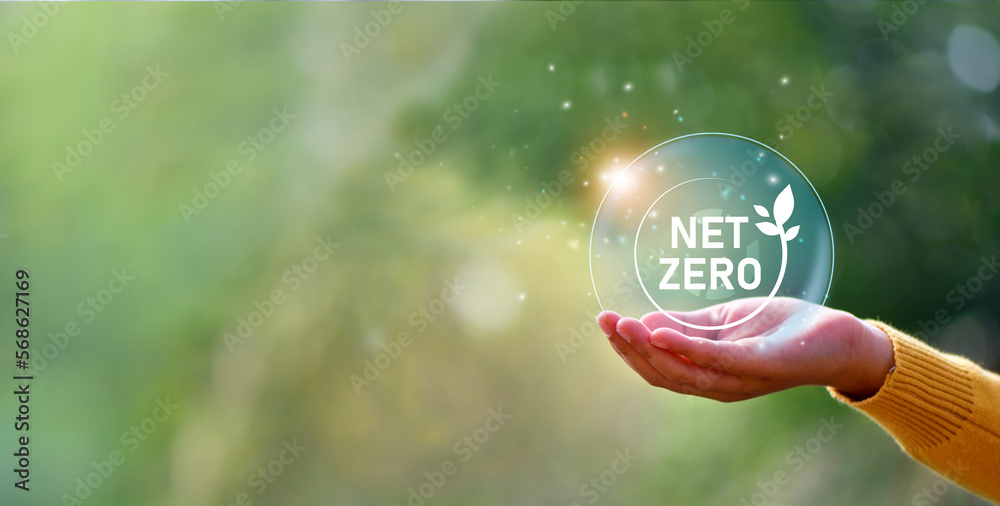 Hand holding green leaf with Net-Zero icons. CO2 Net-Zero Emission ...