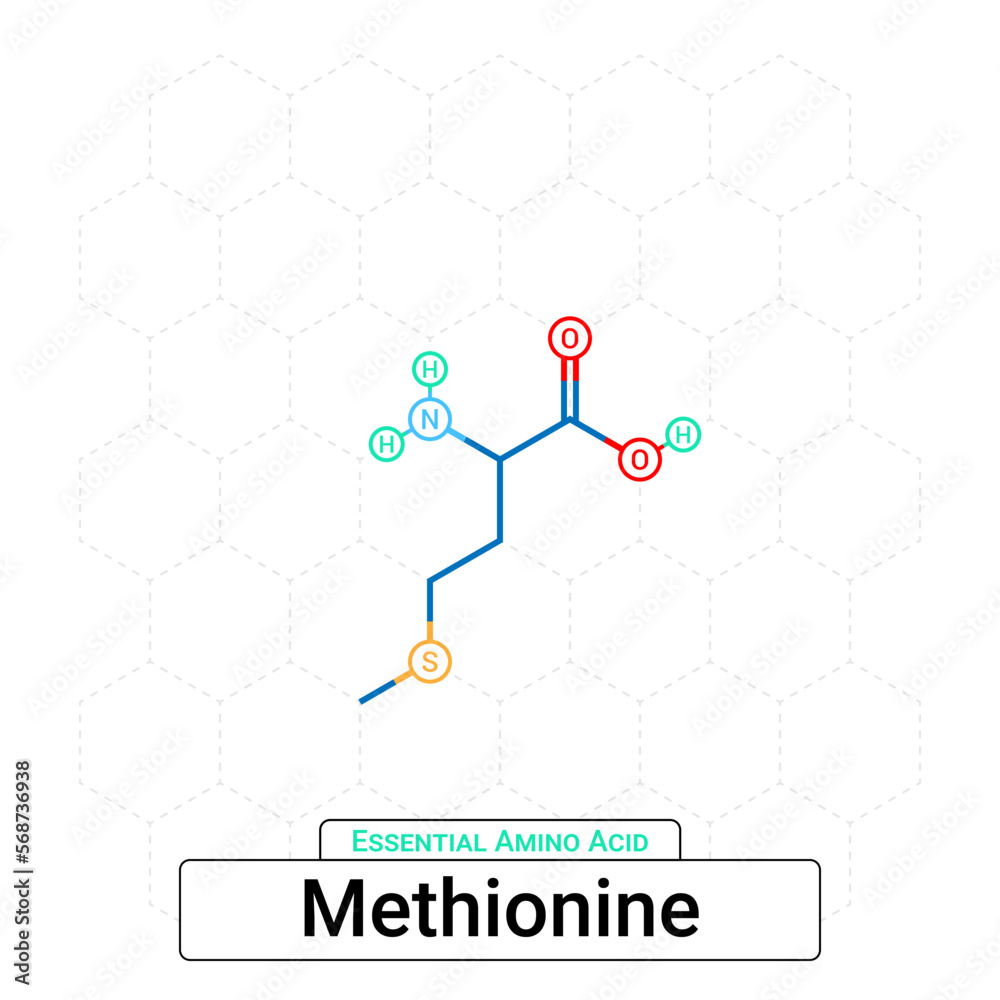 Methionine Chemical Structure Essential Amino Acid Organic Molecules ...