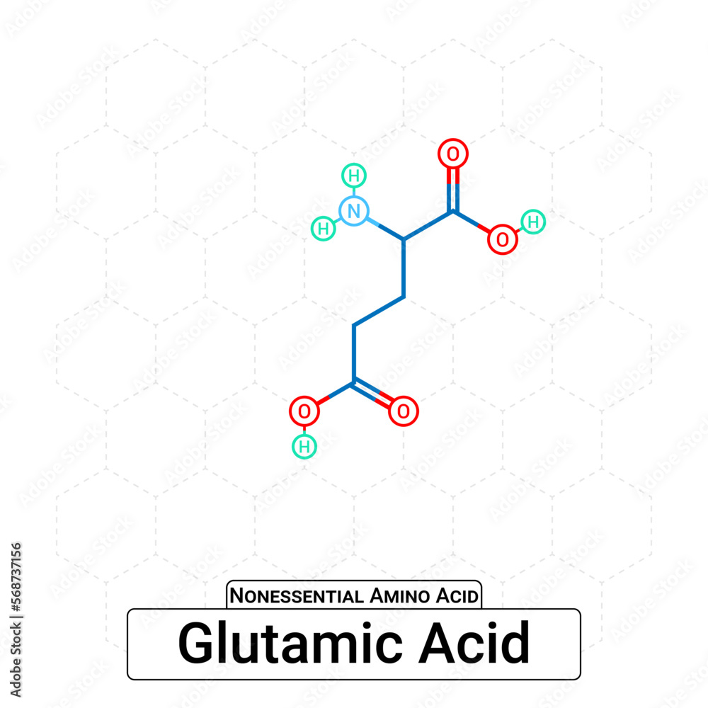 Glutamic Acid Chemical Structure Non-Essential Amino Acid Organic ...