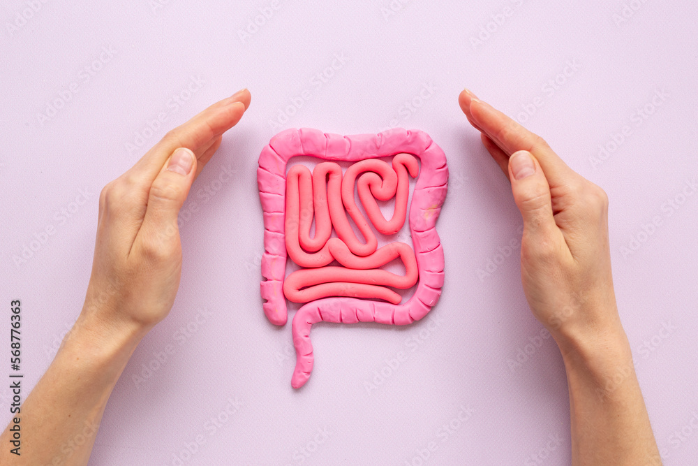 Human intestines colon organ shape with hands. Digestive tract problems ...