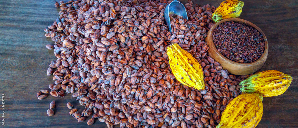 Cacao nibs are cocoa beans that have been cold-ground or ground at low ...