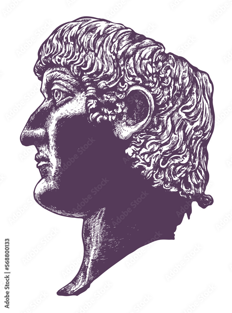 The head of the Roman emperor in profile, png Stock Illustration ...