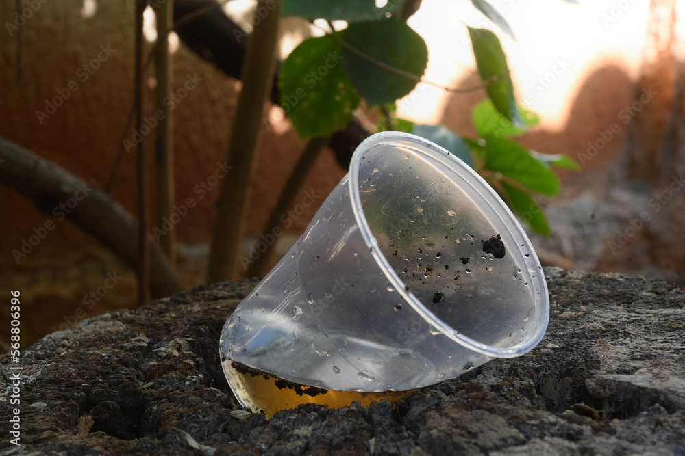 abandoned bottle container with stagnant water inside, a place of ...