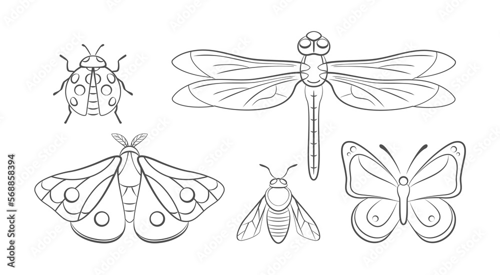 Insects black and white flat icons set. Cartoon butterfly, ladybug ... Insects black and white flat icons set. Cartoon butterfly, ladybug ...
