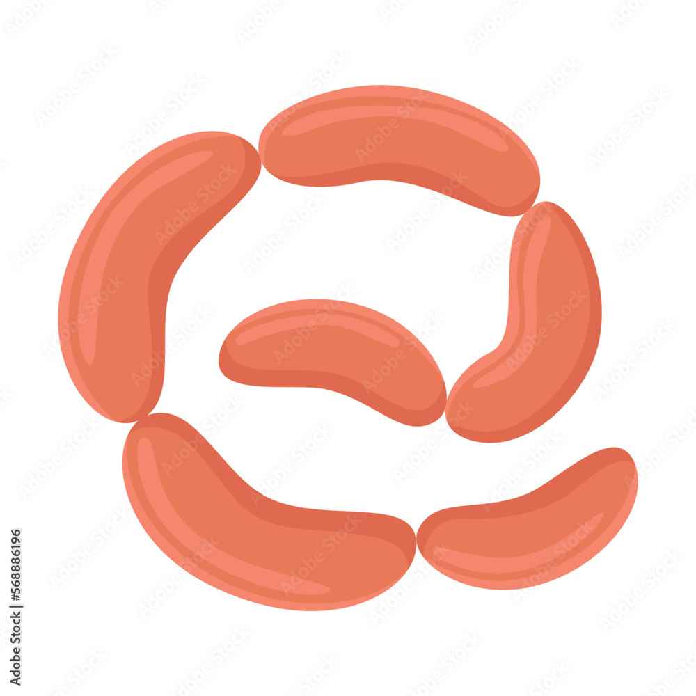 Sausage vector illustration. Cartoon drawing of chain of raw sausages ...